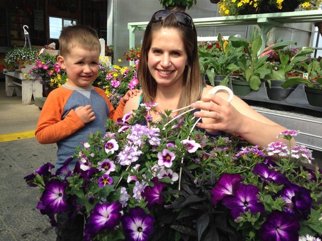 Debs Greenhouse Garden Centre